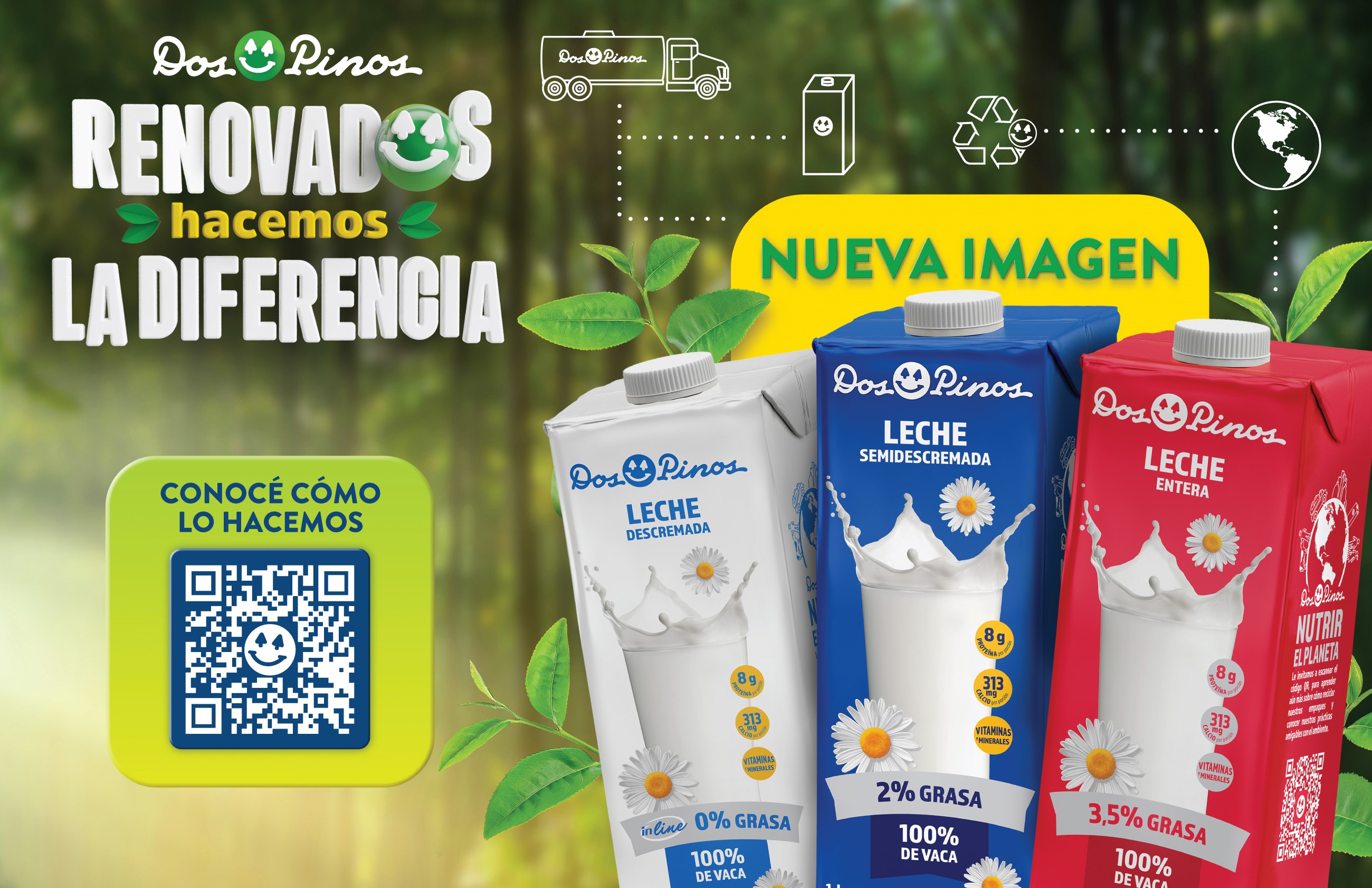 Cooperativa Dos Pinos